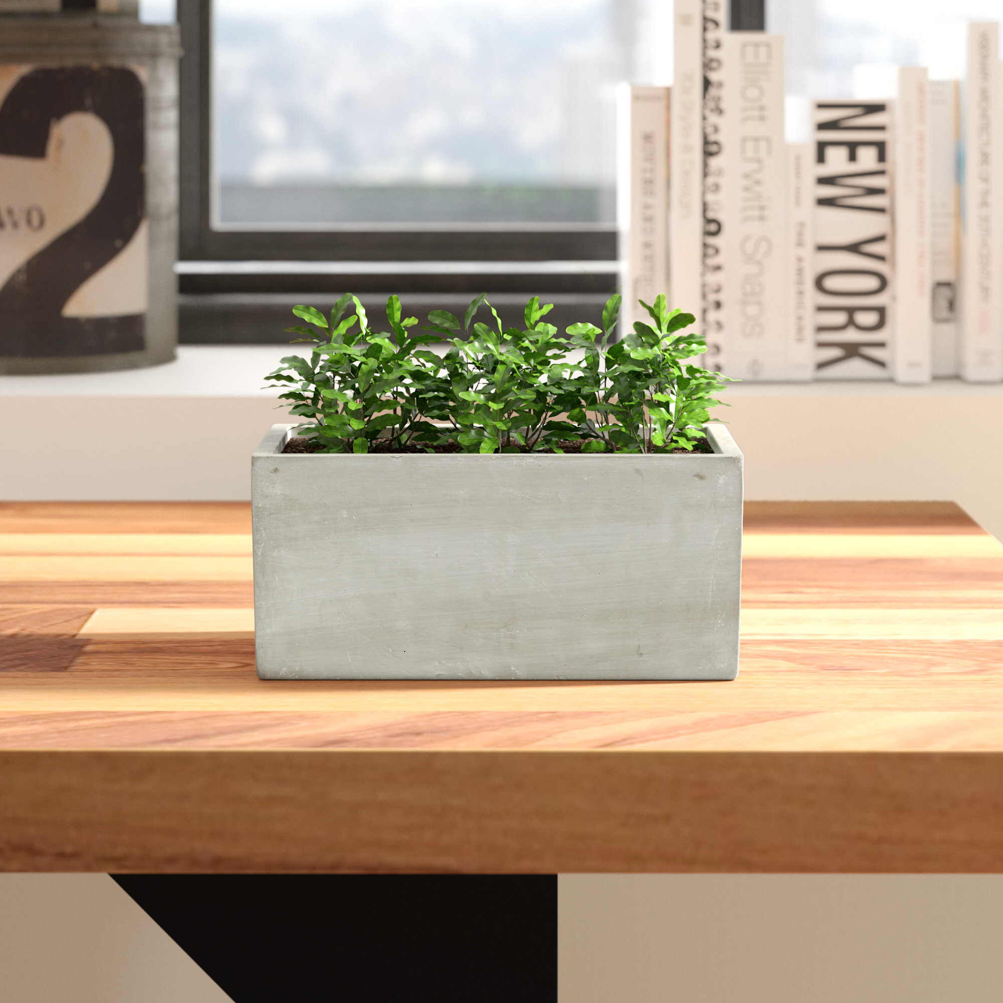 Trent Austin Design Milian Pot Planter - Wayfair Canada