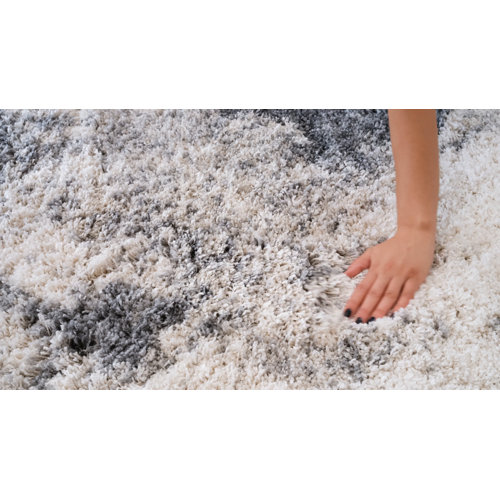 Brayden Studio® Shag Adrian Grey/Beige Rug & Reviews | Wayfair