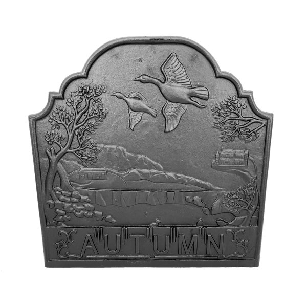 Red Barrel Studio® Werby Cast Iron Fire Back | Wayfair