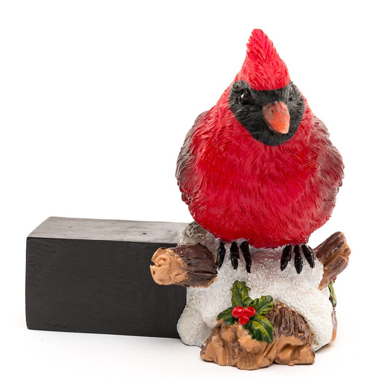 Jardinopia Red Cardinal Bird Coloured Planter Feet In Gift Box | Wayfair