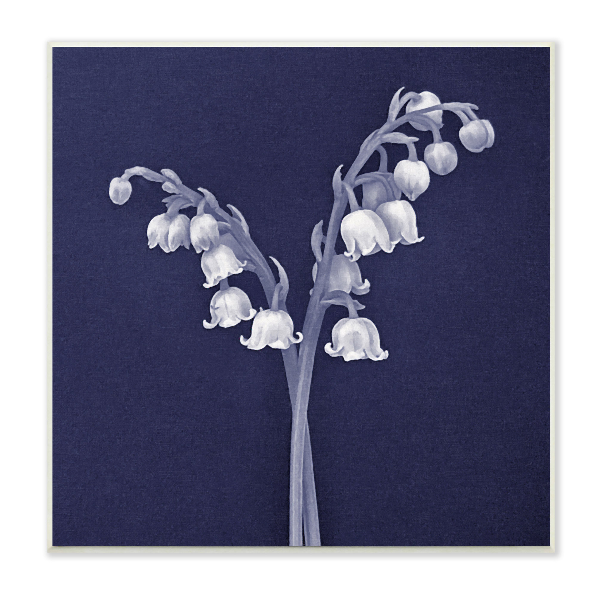 Stupell Industries Lily Of Valley White Drooping Blooms Illustration ...