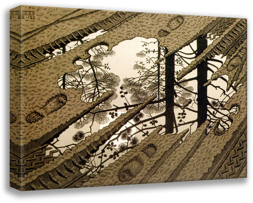 Lark Manor™ Puddle by M.C.Escher Gallery Wrapped Canvas | Wayfair