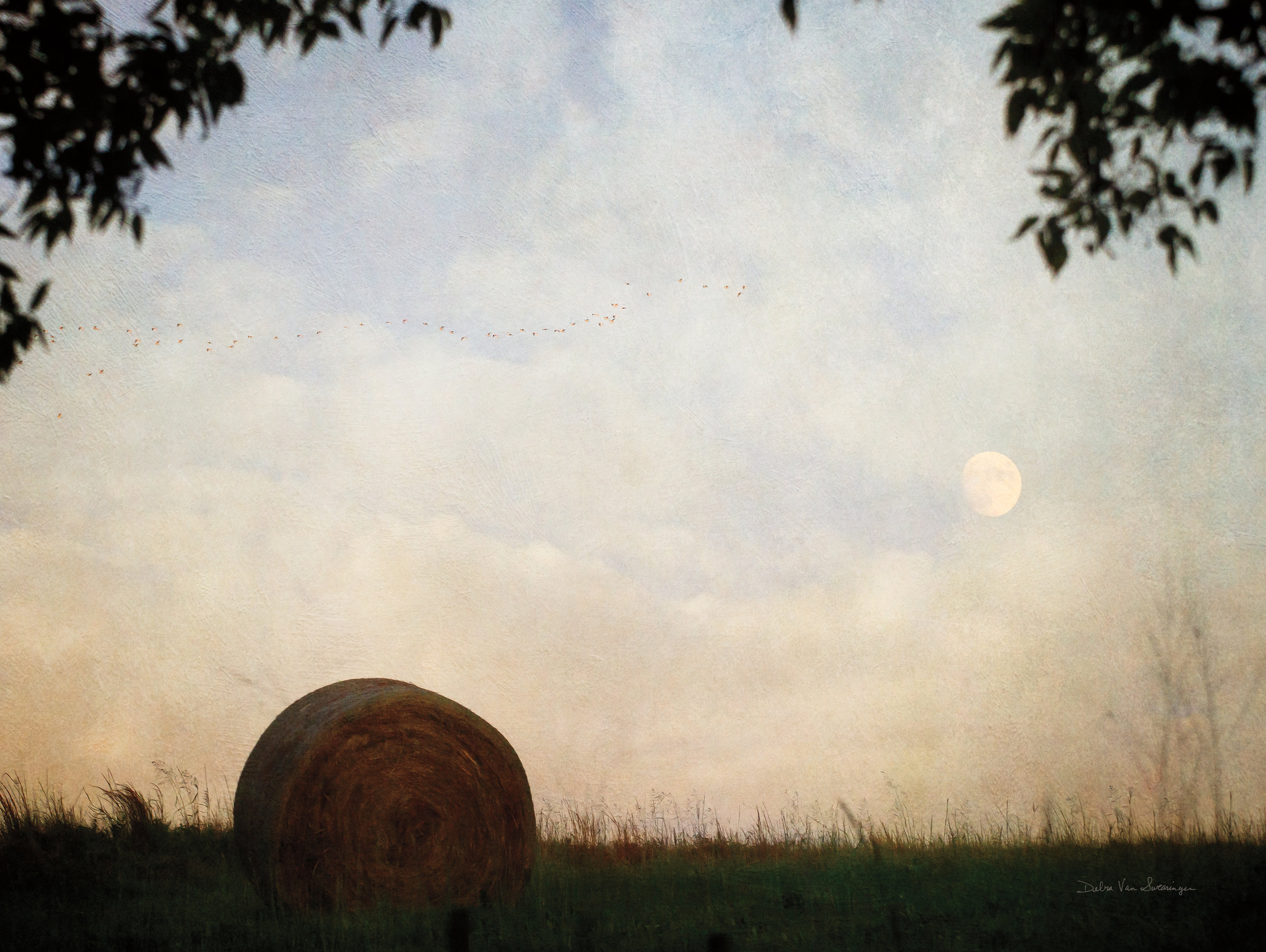 Ebern Designs Leonzo Migration Moon On Canvas by Debra Van Swearingen ...