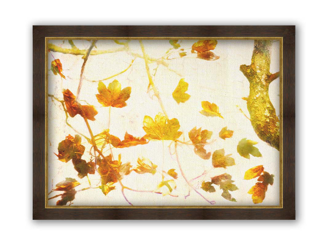 One Allium Way® Autumn Gold by Hal Halli. Paper Print - Mounted ...