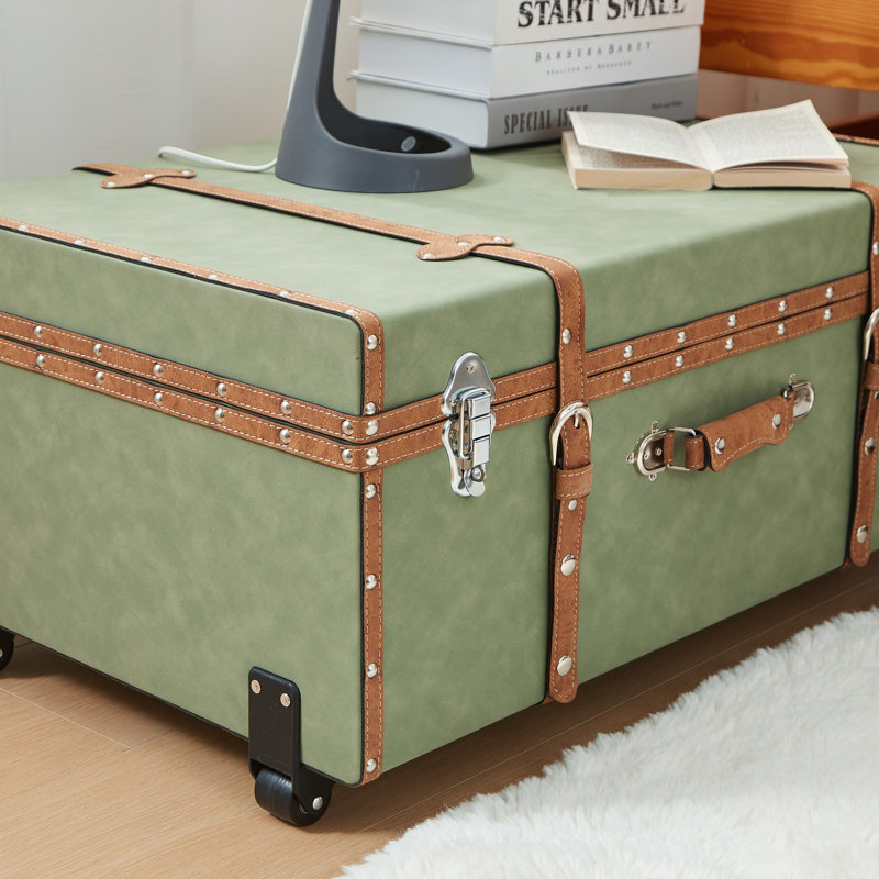 DormCo Texture Wheeled Trunk Moss Green | Wayfair
