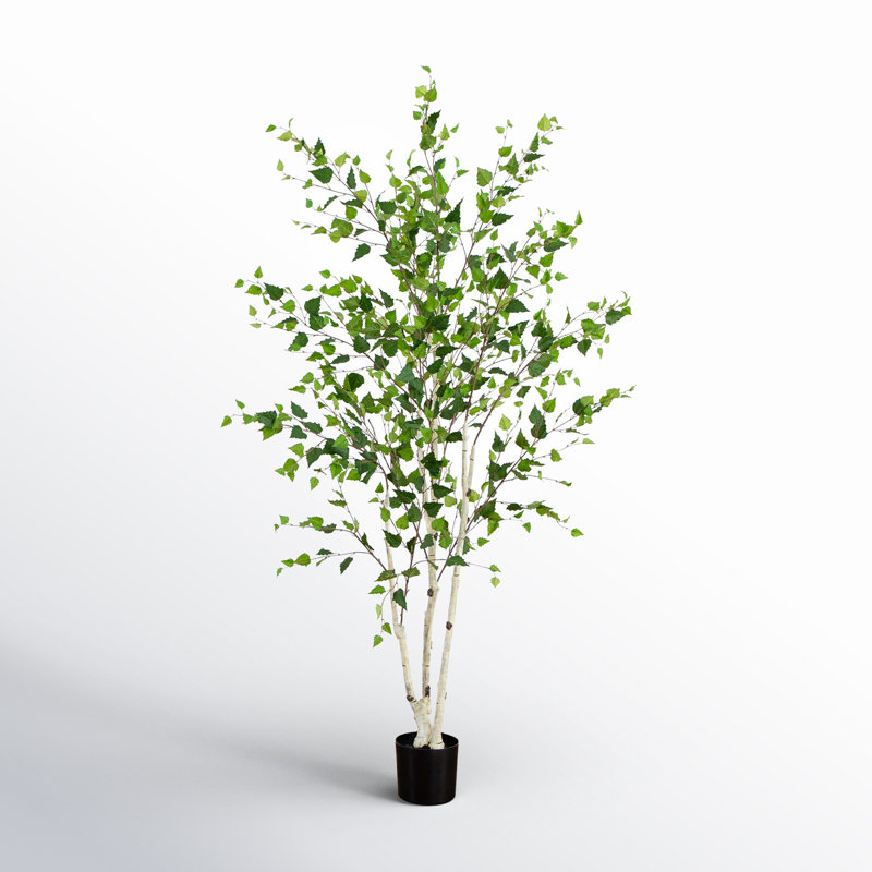 84'' Faux Birch Tree in Pot Liner & Reviews | Birch Lane