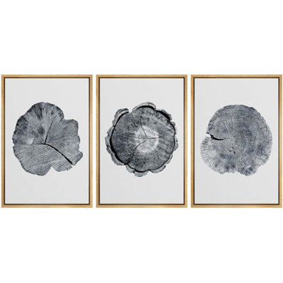IDEA4WALL Tree Ring Wood Tree Rings Framed On Canvas 3 Pieces Print ...