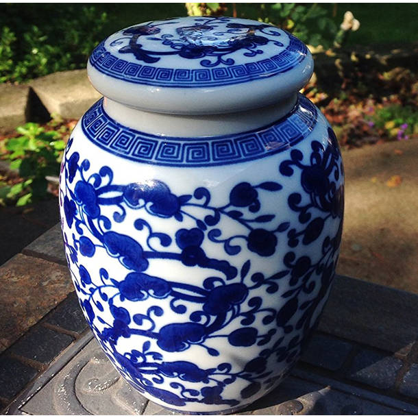 Langley Street Lattin Porcelain Ginger Jar & Reviews - Wayfair Canada