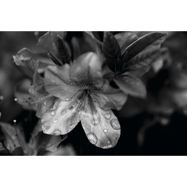 17 Stories Poetry VIII by Tang Ling - Wrapped Canvas Art Prints ...