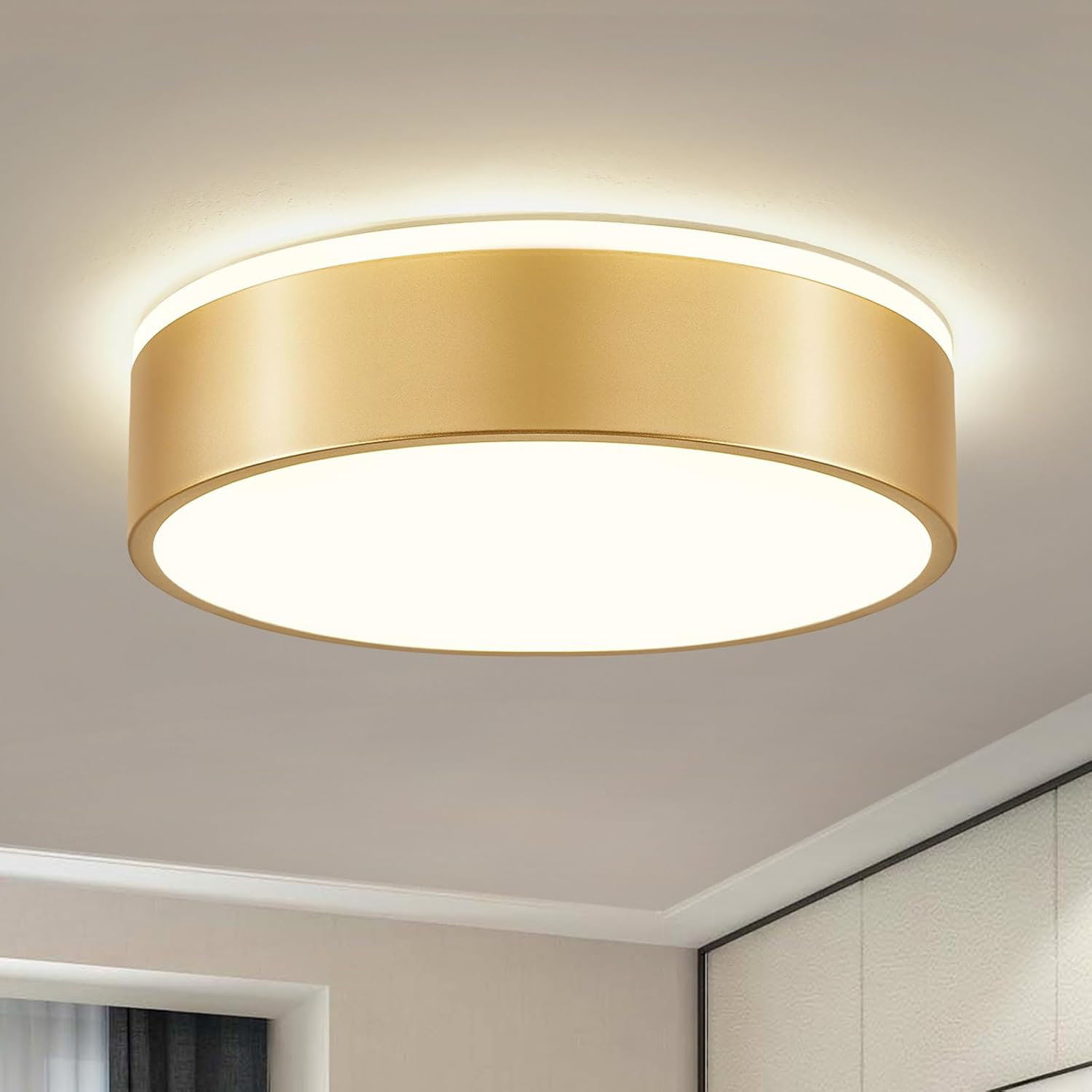 House of Hampton® Flat Mounted Ceiling Light | Wayfair