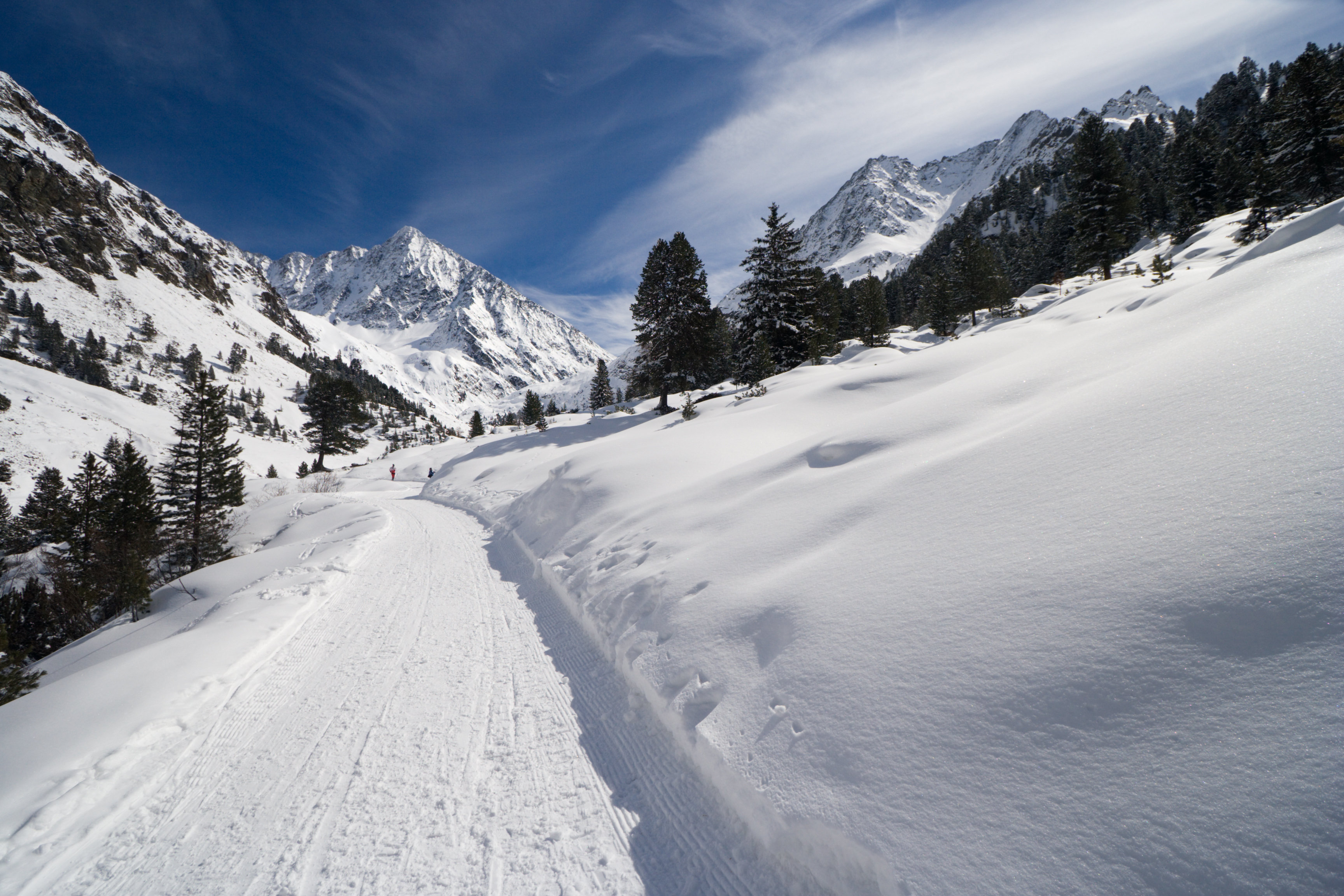 Millwood Pines Winter Mountain Landscape by Michaelutech | Wayfair