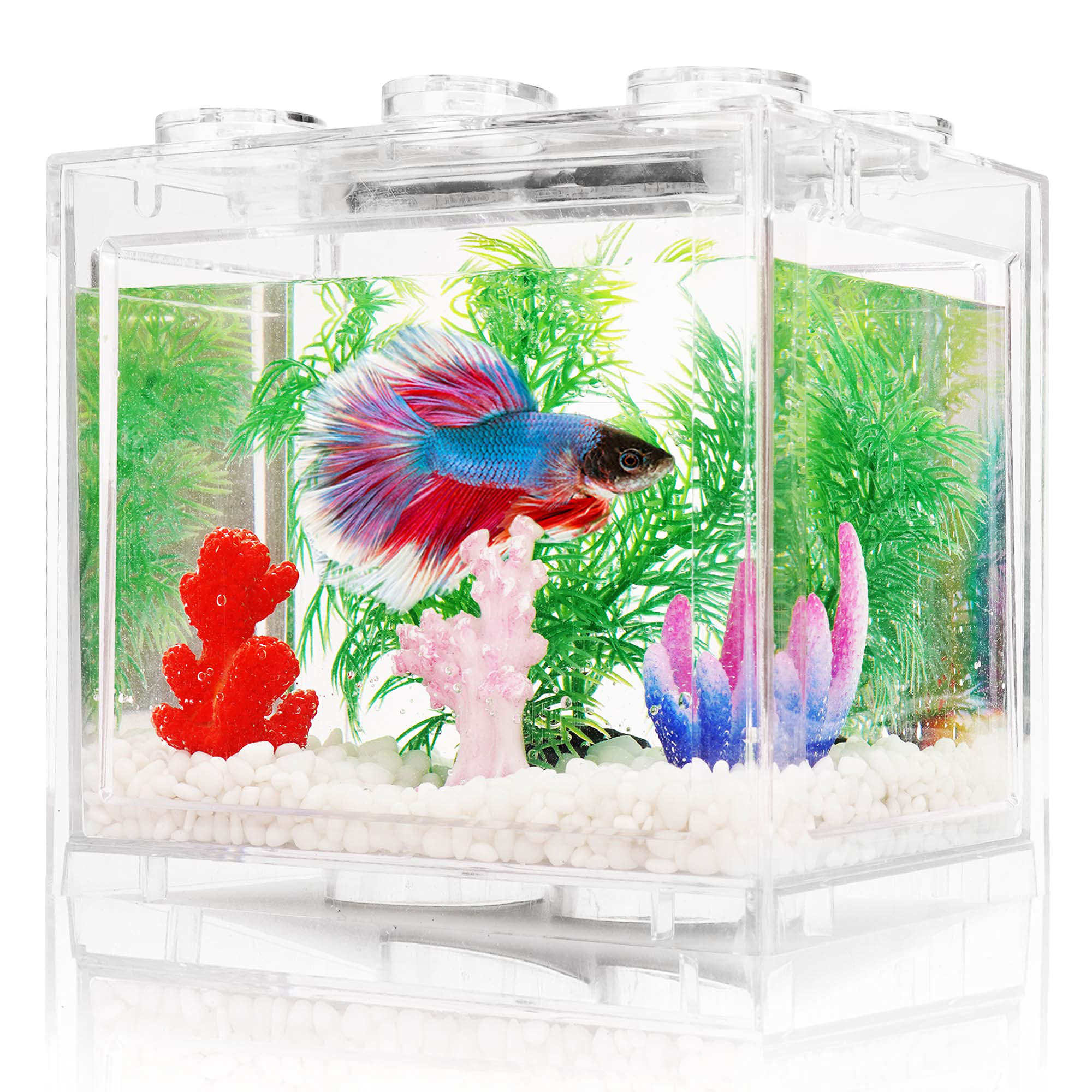 Ebern Designs Small Betta Fish Tank, Aquarium Tank Kit With LED ...