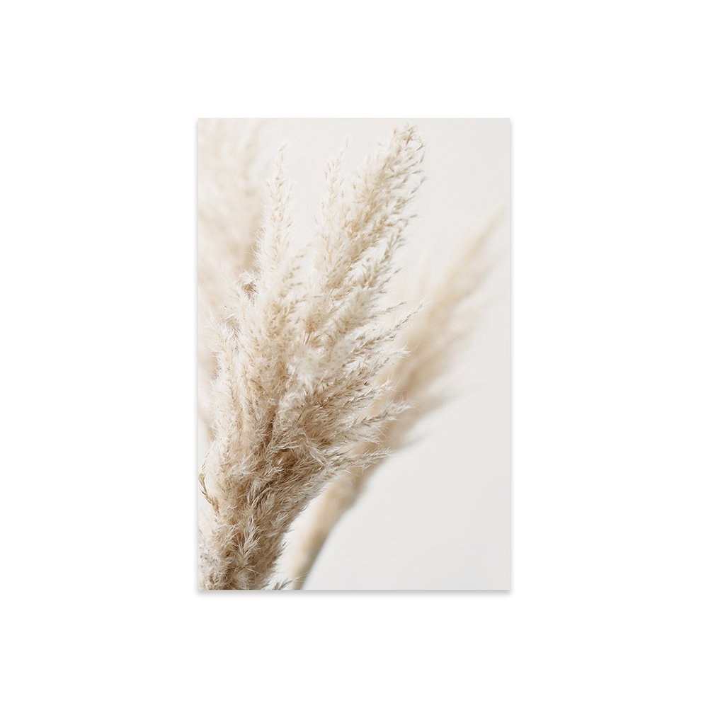 Latitude Run® Pampas Reed III by - Print - Wayfair Canada