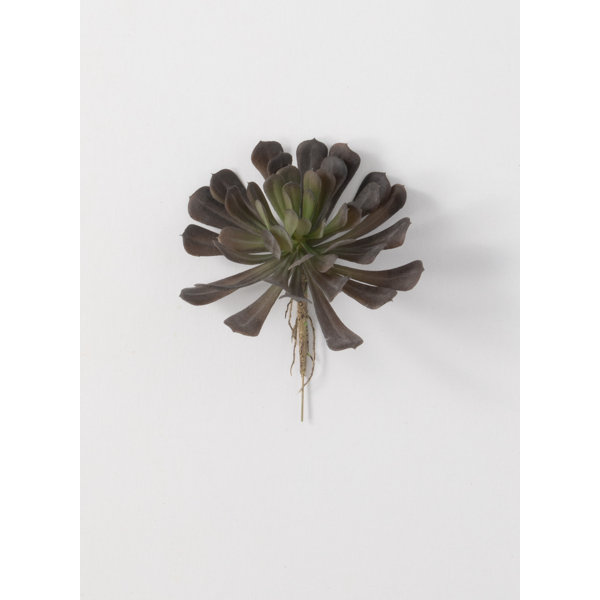 Primrue 7" Artificial Succulent Plant | Wayfair