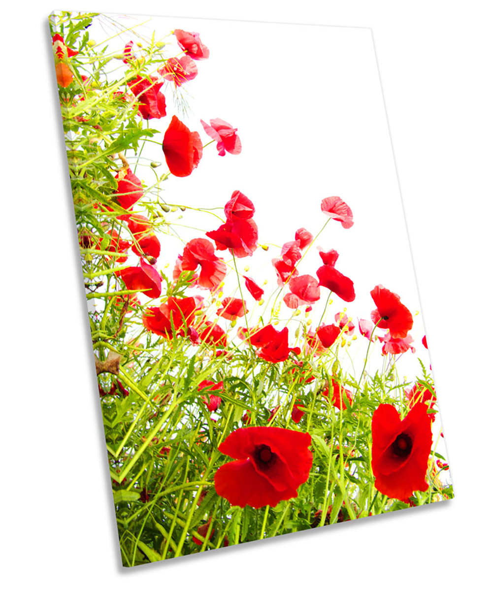 17 Stories Poppies Flowers Floral Poppy - Wrapped Canvas Photograph ...