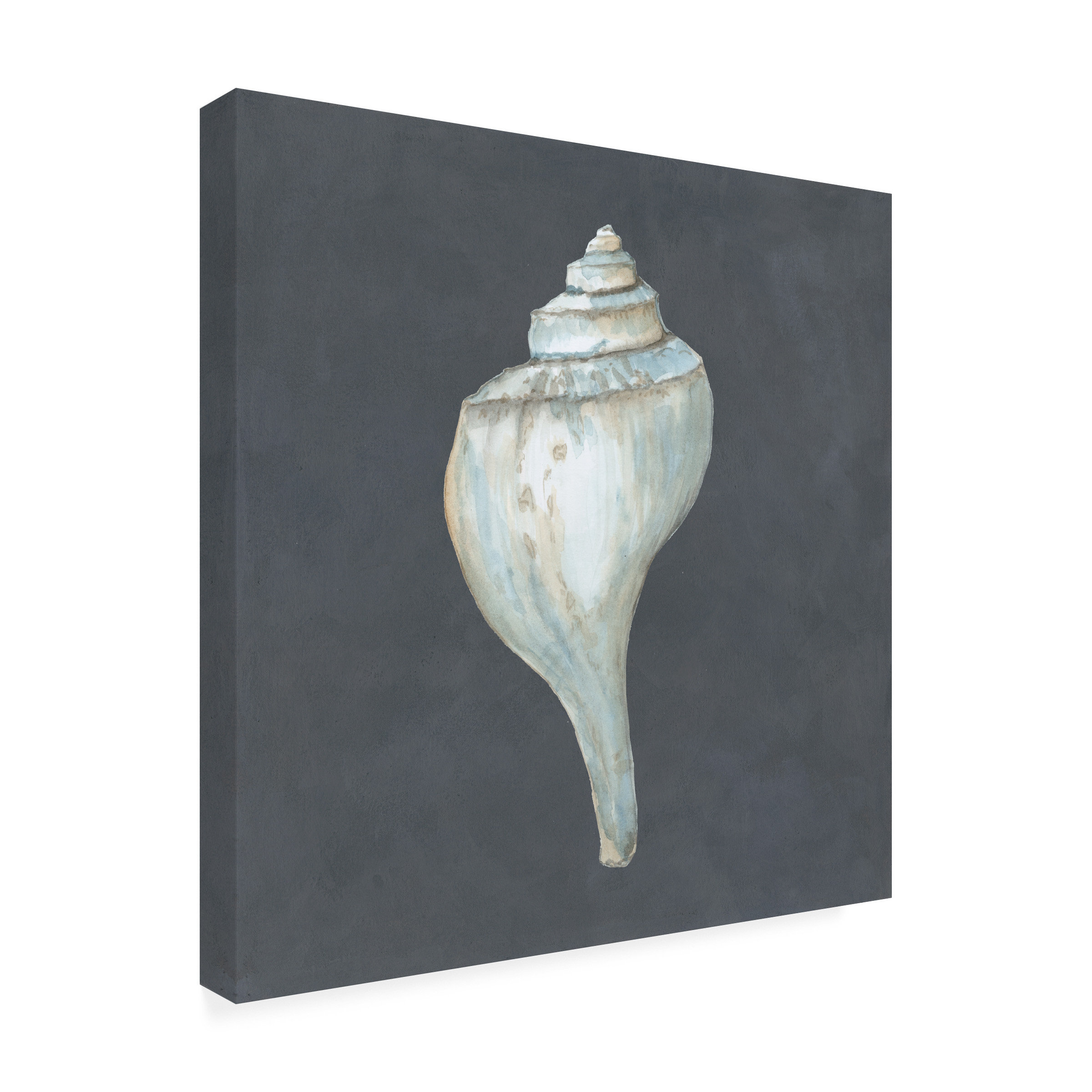Dovecove Megan Meagher 'Shell On Slate IV' Outdoor Canvas | Wayfair