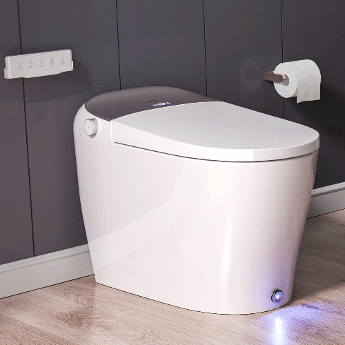 EPLO Smart Toilet Bidet with Built in Tank, Auto Open/Close, Off-Seat ...