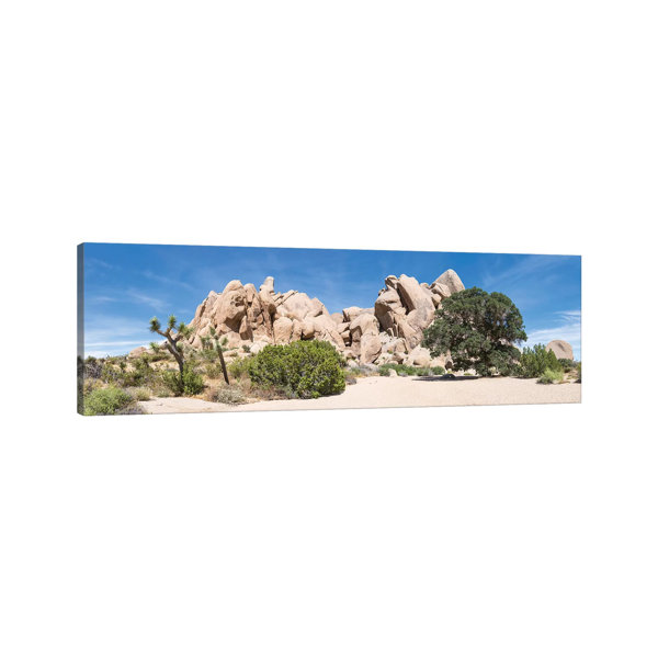 Brayden Studio Life Oak - Joshua Tree National Park Panorama by Melanie ...