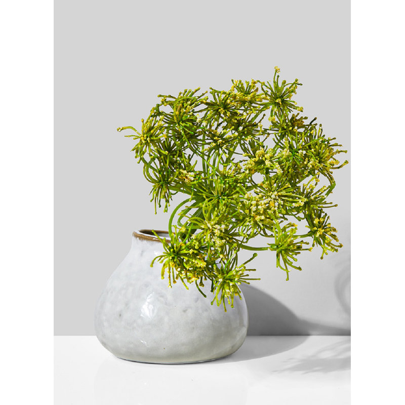 Dakota Fields Rufus Table Vase | Wayfair