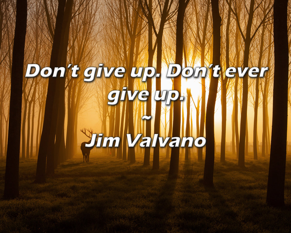 George Oliver Artsy Quote "Don’t give up. Don’t ever give up." By Jim ...