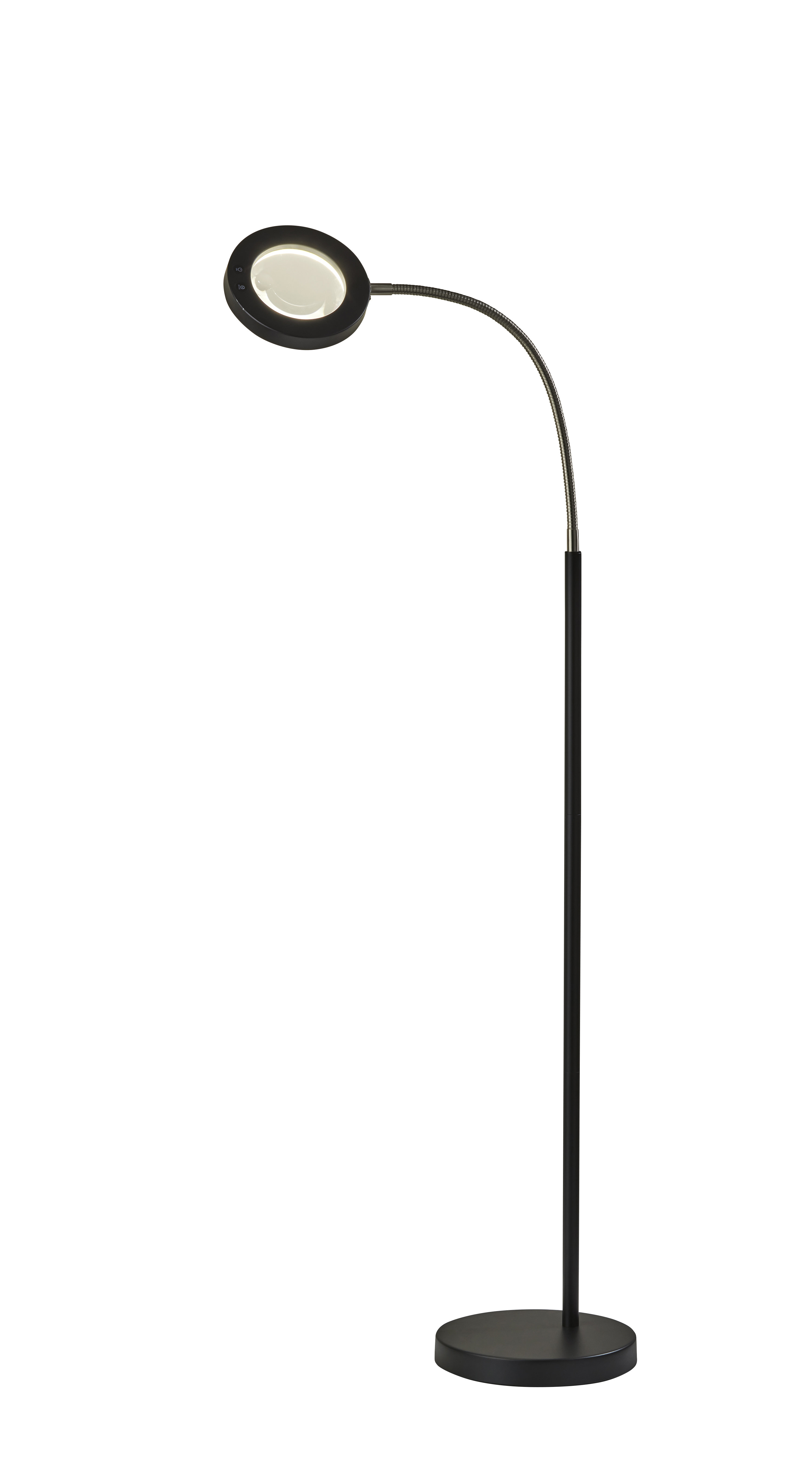 Ivy Bronx Atzi 57" LED Task/Reading Floor Lamp | Wayfair
