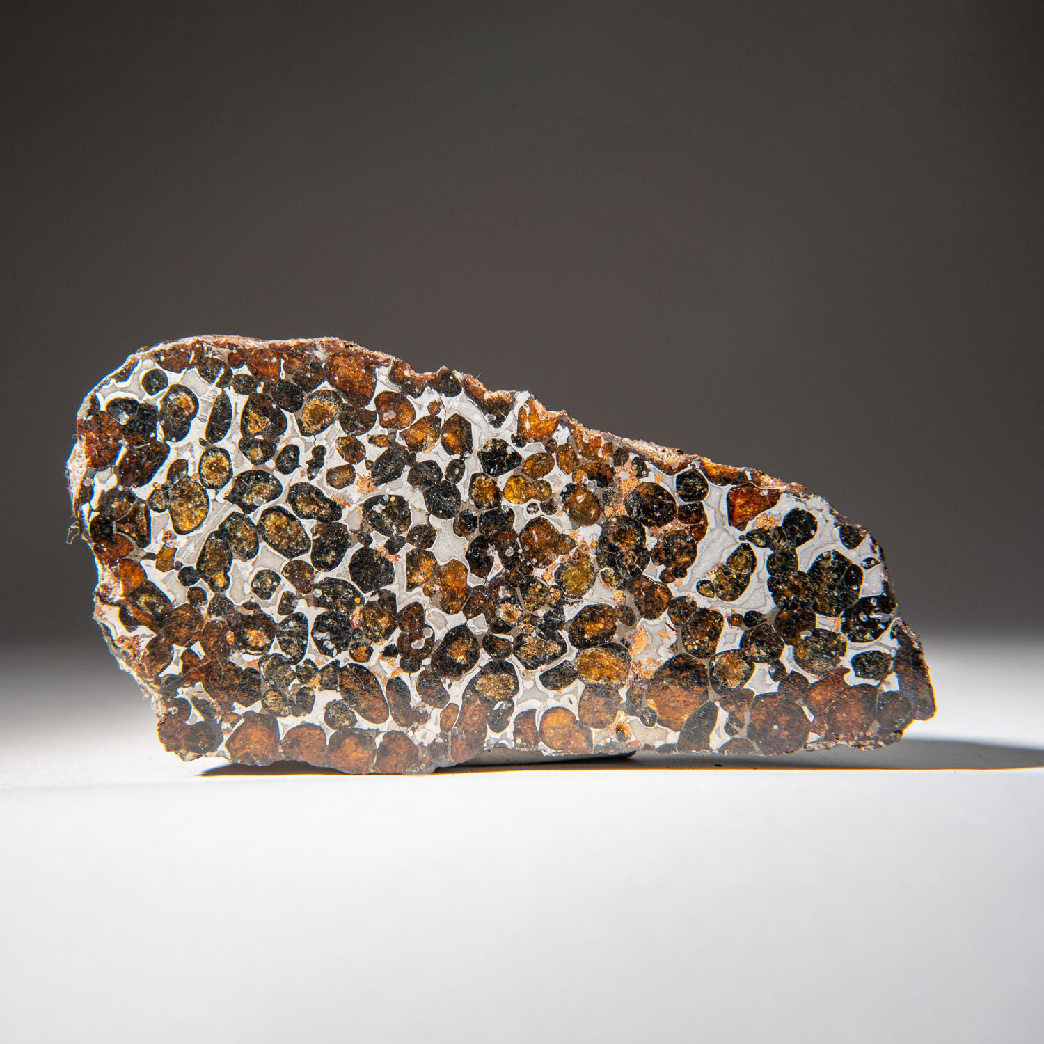 Astro Gallery of Gems Genuine Sericho Pallasite Meteorite Slab (394.3 ...