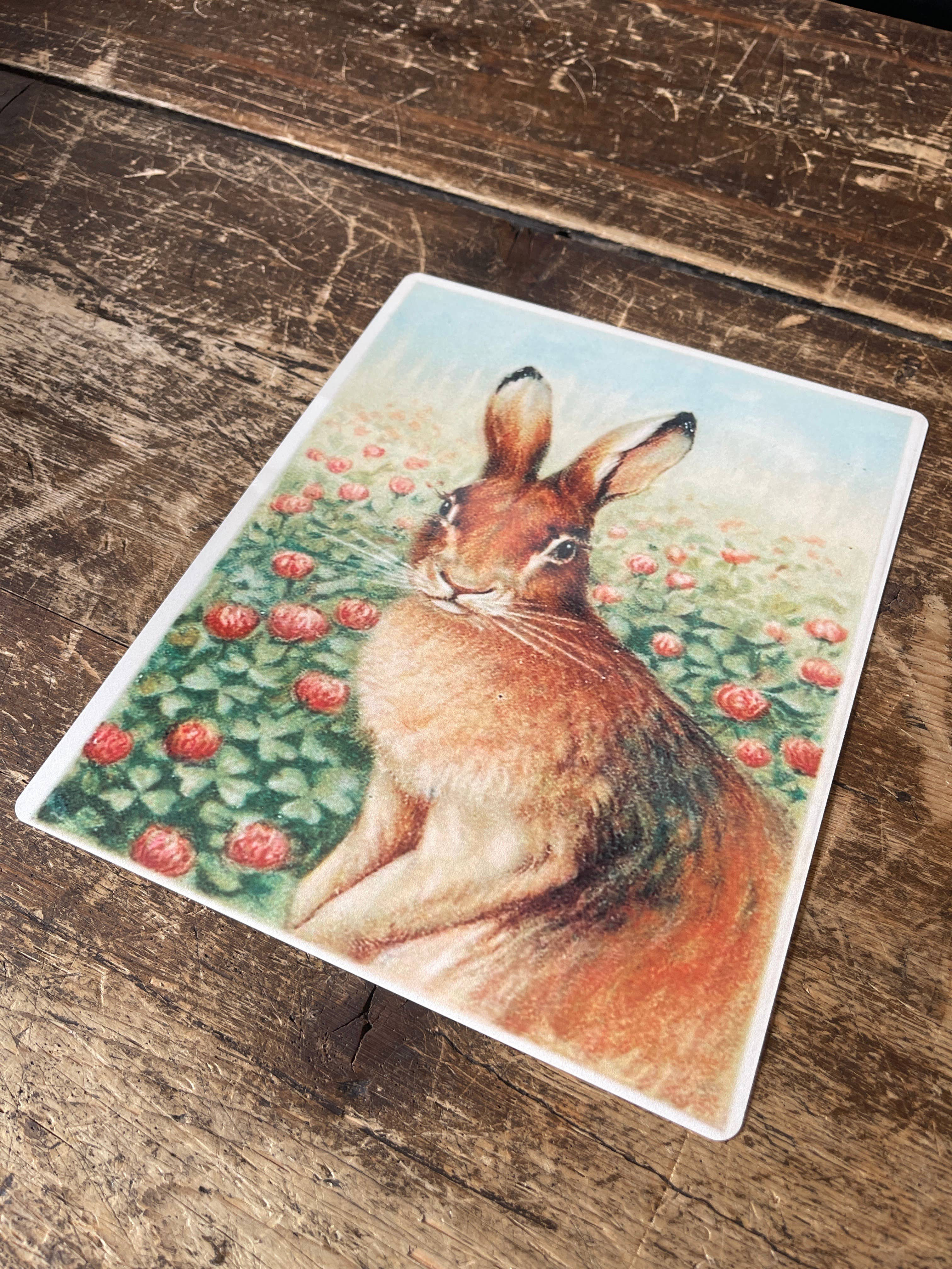 East Urban Home Hare Illustration Wall Décor | Wayfair.co.uk
