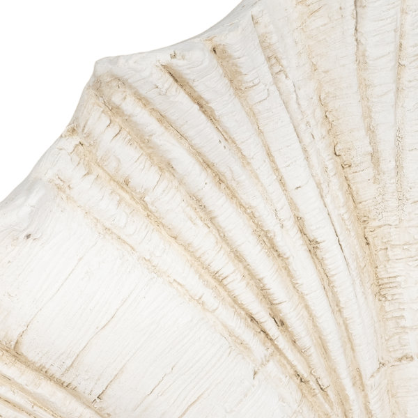 Dovecove 22" Polyresin Scallop Shell Decor, White | Wayfair