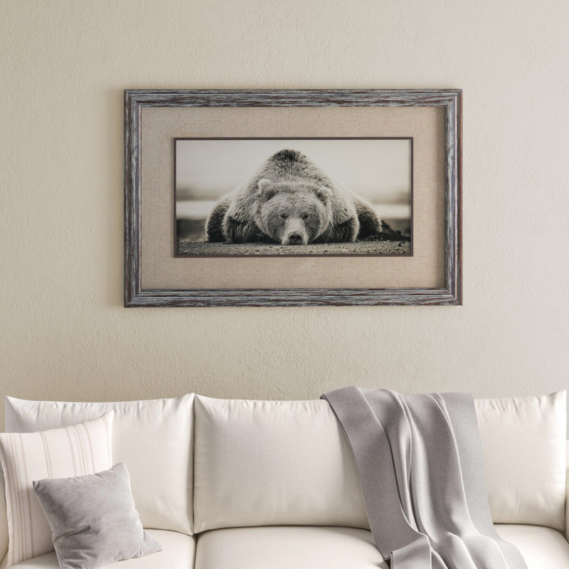 Steelside™ Deep Sleep Bear by Liz Jardine - Picture Frame Photograph ...