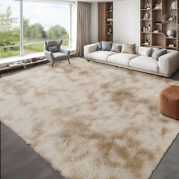 Mercer41 Shag Area Rugs Tie-Dyed Plush Fuzzy Rugs for Living Room ...