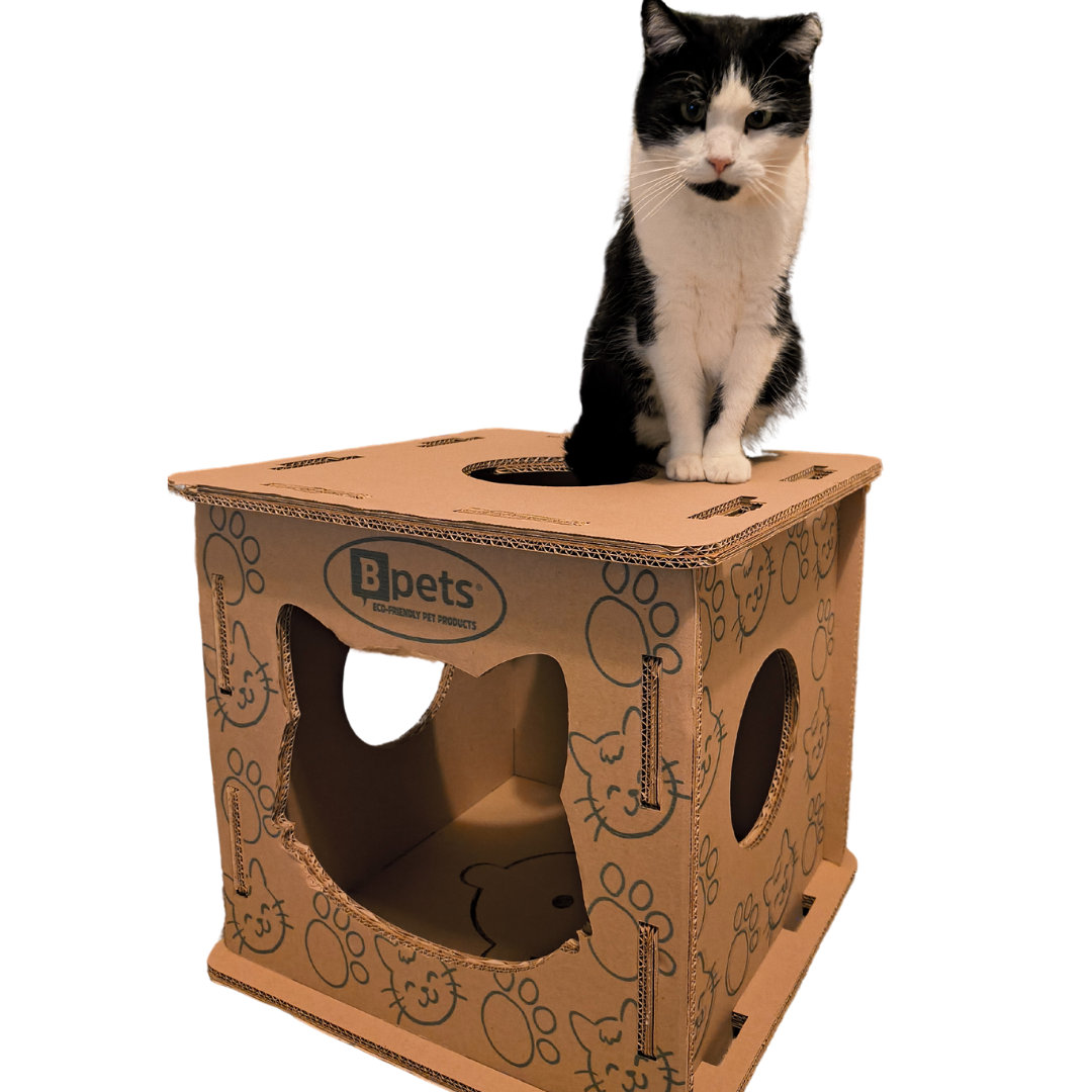 Tucker Murphy Pet™ PetPro Corrugated Cardboard Cat Play Center, Scratching Box, Indoor Cat House ...