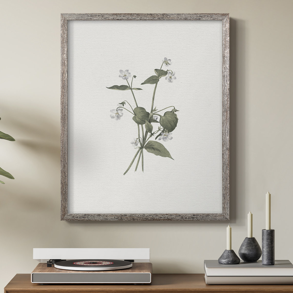 Winston Porter Vintage Floral Print CCV Framed Print - Solid Wood | Wayfair