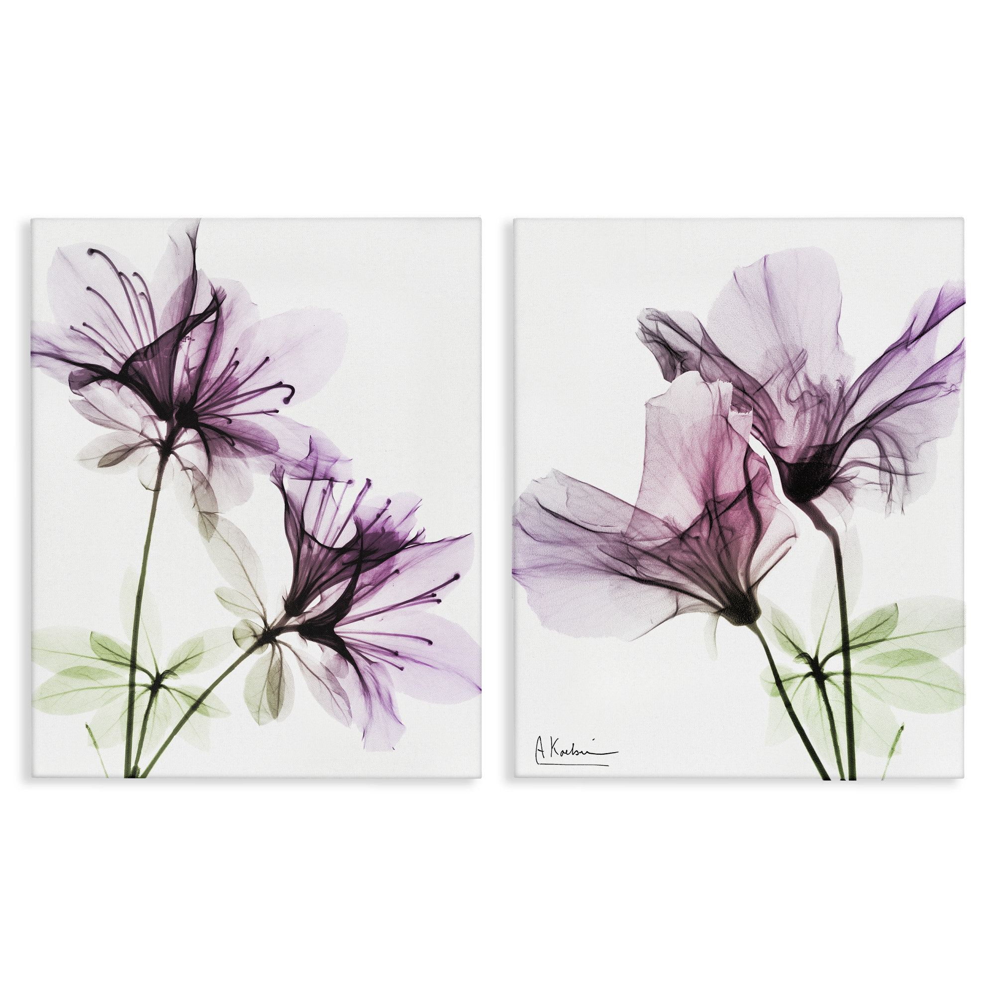 Stupell Industries 'Purple Flower Bloom Design' by Albert Koetsier - 2 ...