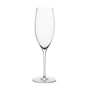 Elia SIENA CHAMPAGNE GLASS 24CL | Wayfair.co.uk