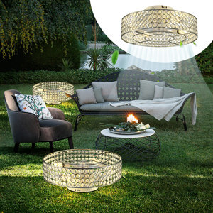 Williston Forge Karnisha 19.6'' Ceiling Fan with Light Kit & Reviews ...