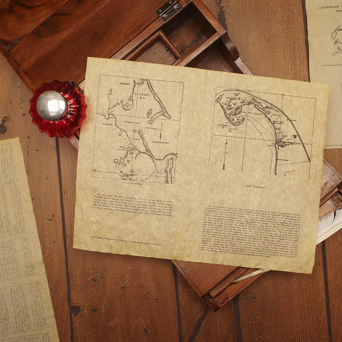 Ophelia & Co. Historical Document Mayflower Compact Parchment Paper ...