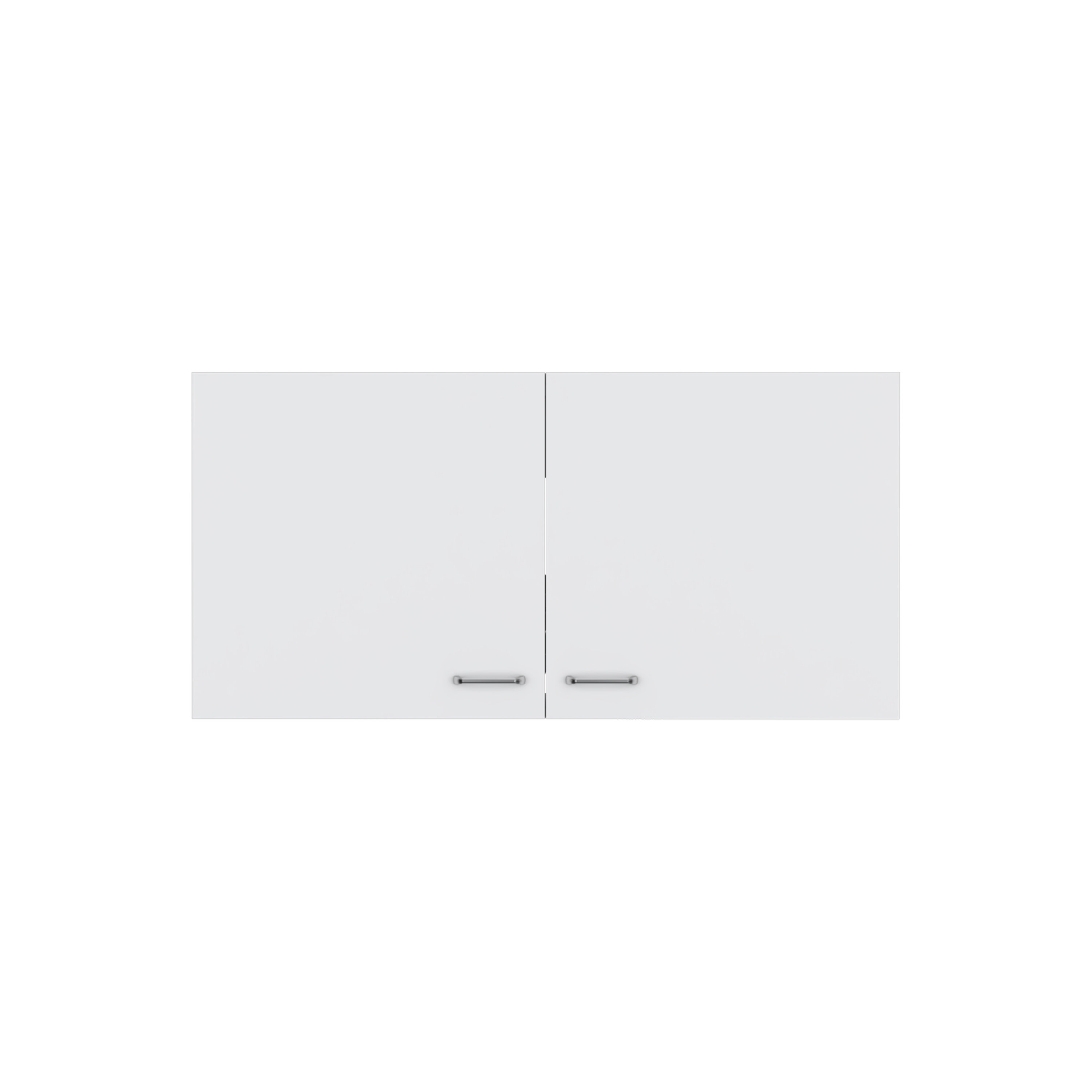 Latitude Run® Westhoven Double Door Wall-Mounted Storage Cabinet ...