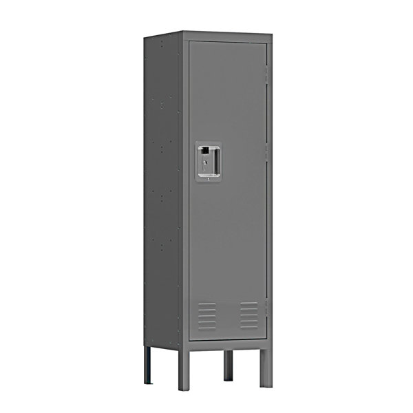 Latitude Run® 1 Door Tall Single Metal Locker-Retro Style Storage ...