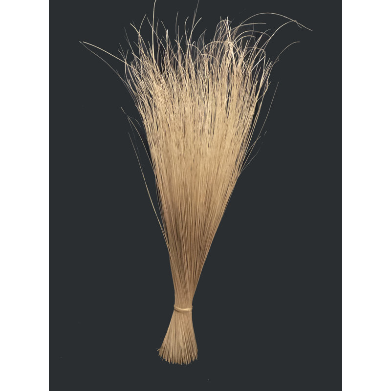 Primrue Coco Midrib Decorative Sticks | Wayfair