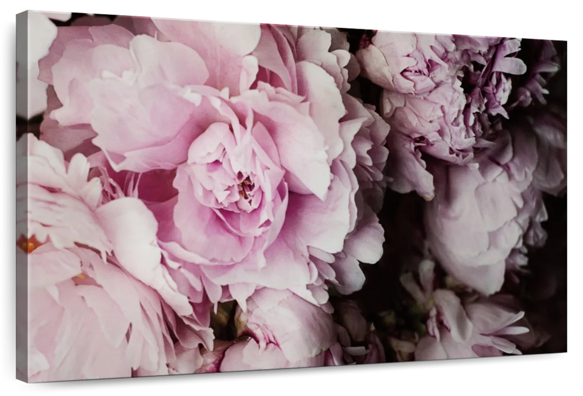 Lark Manor™ Harnek Peonies Galore II | Wayfair