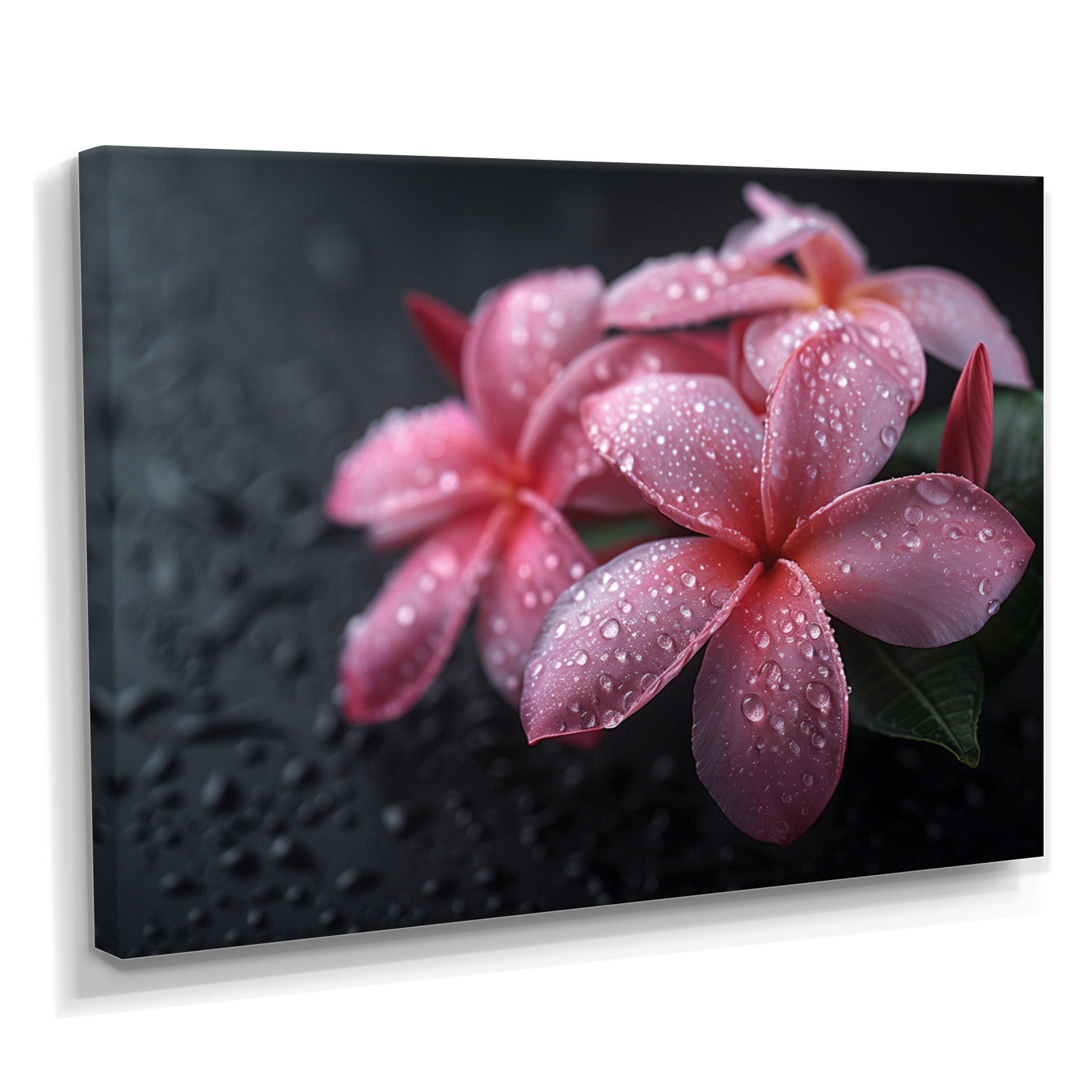 Ebern Designs Pink Monochrome Lupine Winters Peace - Plumeria Wall Art ...