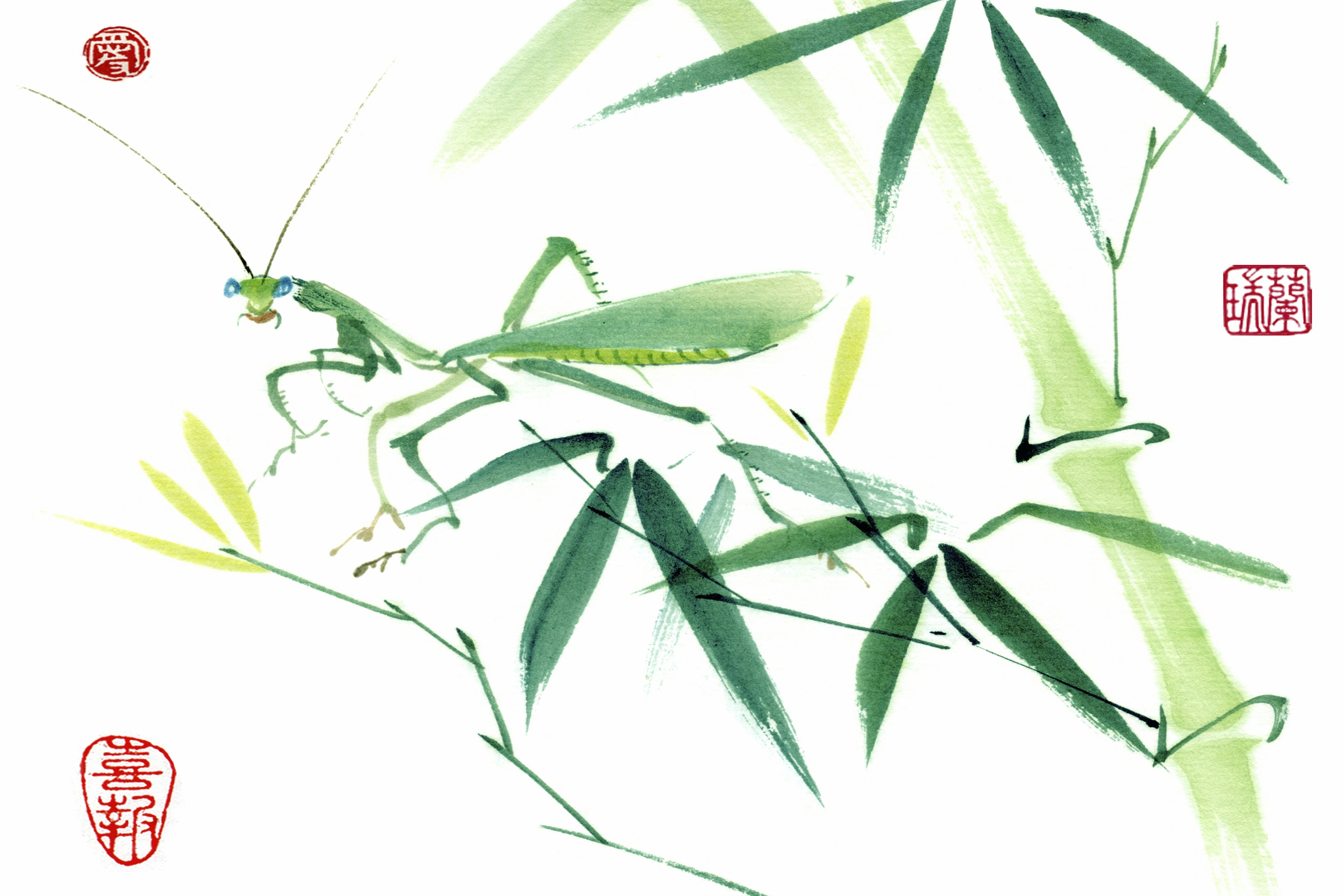 Sansibar Home Mantis - Wrapped Canvas Art Prints | Wayfair.co.uk