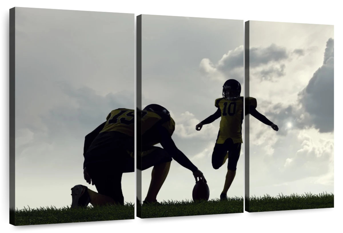 Ebern Designs Sireci Football Kick Silhouette | Wayfair
