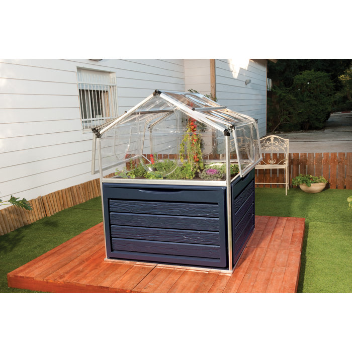 Palram Plant Inn 4 Ft. W x 4 Ft. D Mini Greenhouse & Reviews | Wayfair