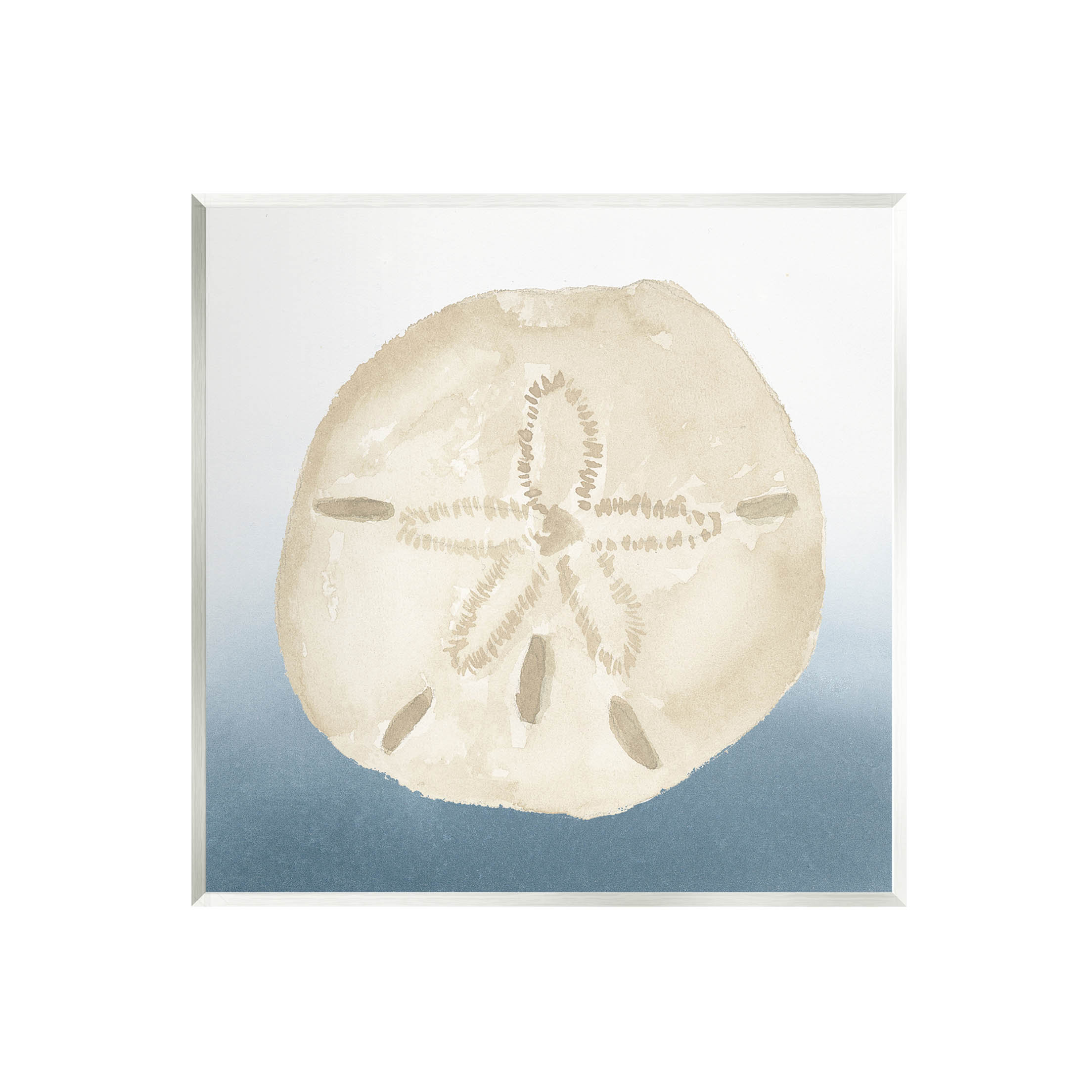 Highland Dunes Beige Sand Dollar Seashell Giclee Art By Lucille Price ...