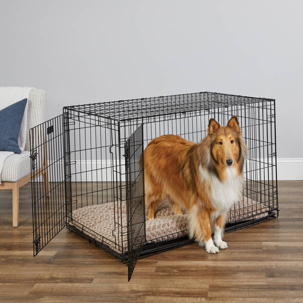 MidWest Homes for Pets Chain Link Outdoor Dog Kennel with Sunscreen ...