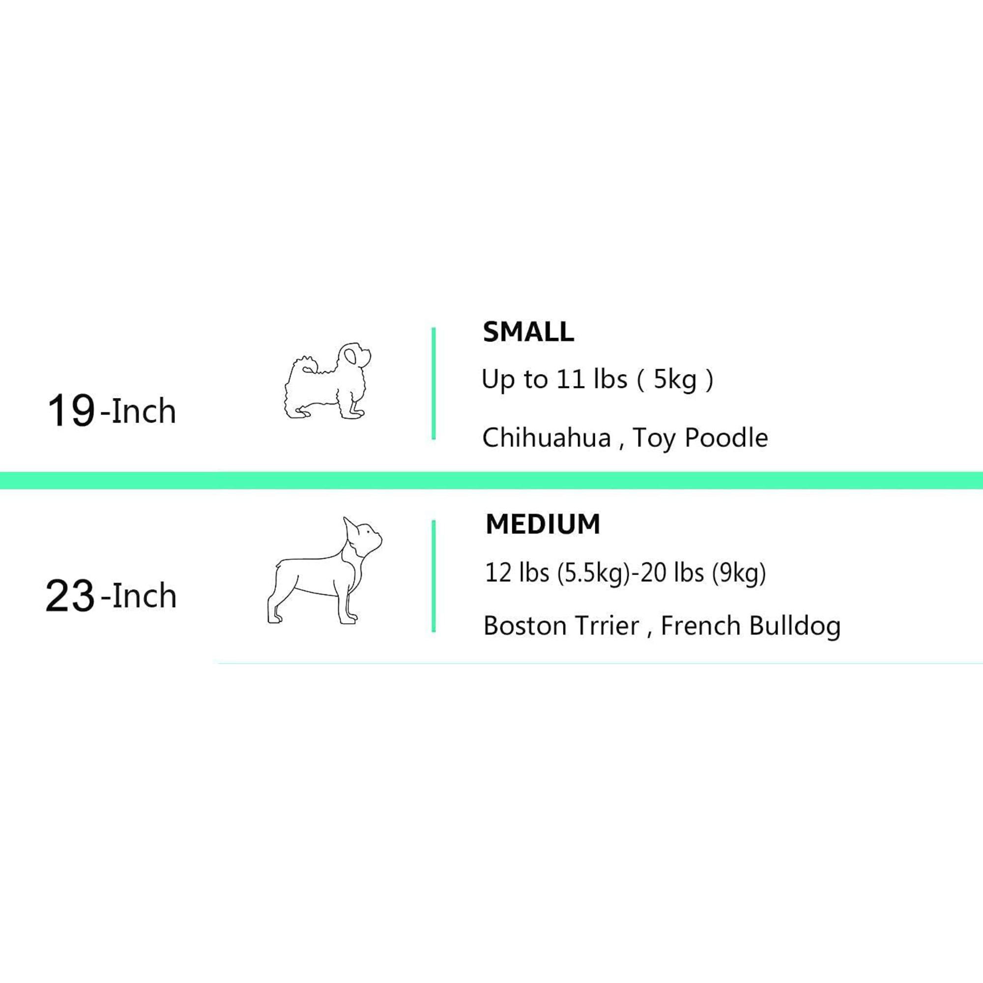 Ebern Designs 2-Door Top-Load Hard-Sided Dogs, Cats Pet Travel Carrier ...