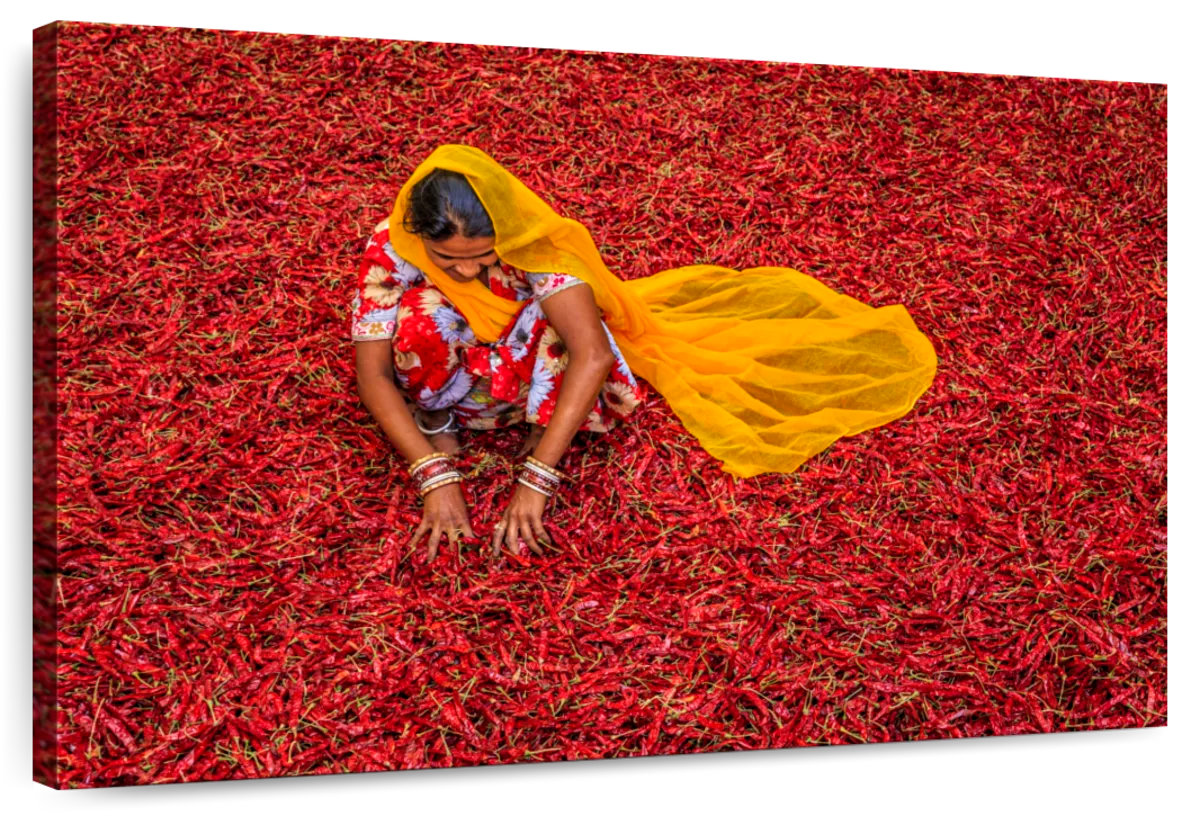 Ebern Designs Yarlin Indian Chili Peppers - Wayfair Canada