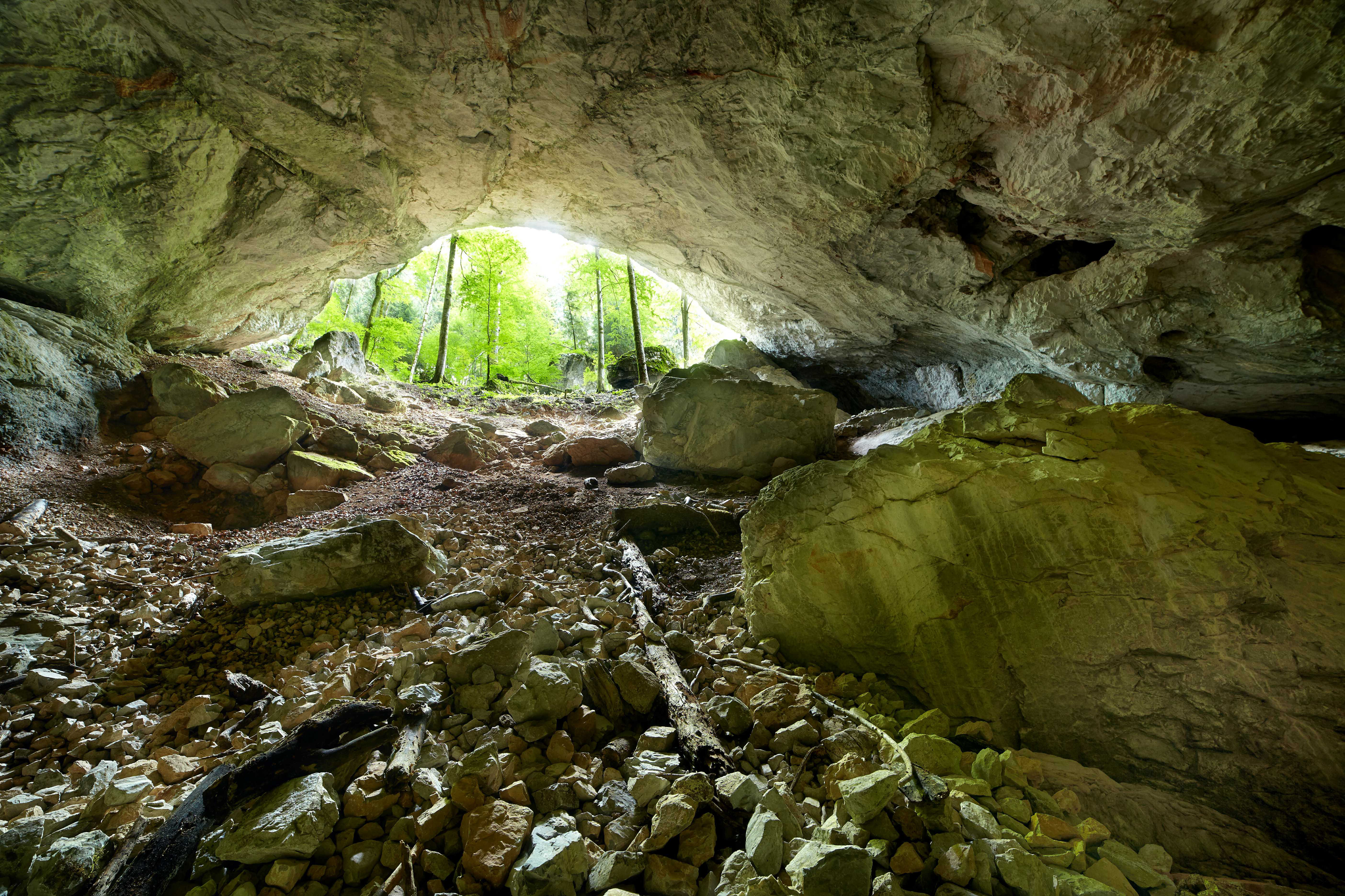 Millwood Pines The Galbena River Cave by Xalanx - Wrapped Canvas ...