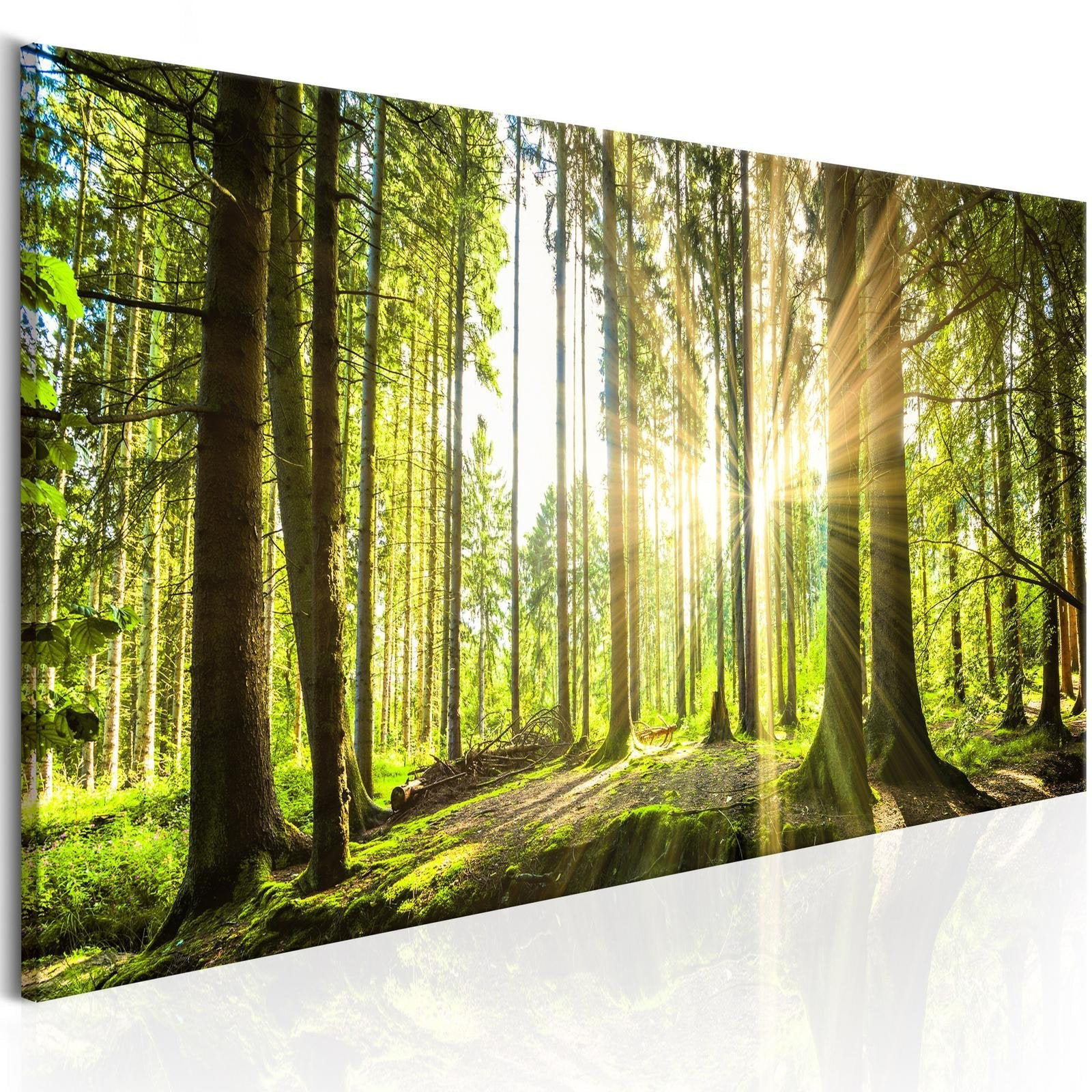 Millwood Pines Tarleton Daylight On Canvas Print | Wayfair
